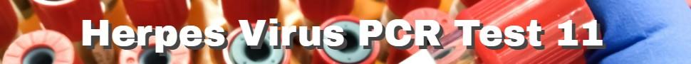 PCR Tests for the Herpes Virus