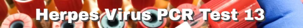 PCR Tests for the Herpes Virus