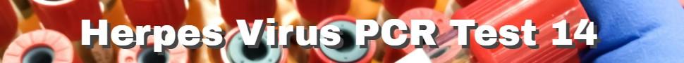 PCR Tests for the Herpes Virus