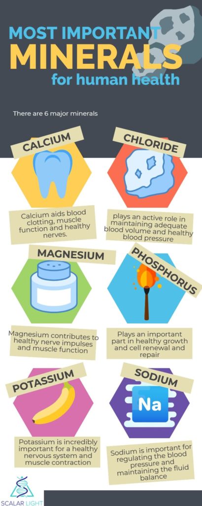 The Minerals Essential for Human Health - SCALAR LIGHT