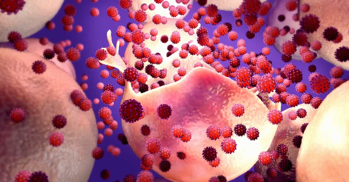 How do viruses reproduce? - SCALAR LIGHT