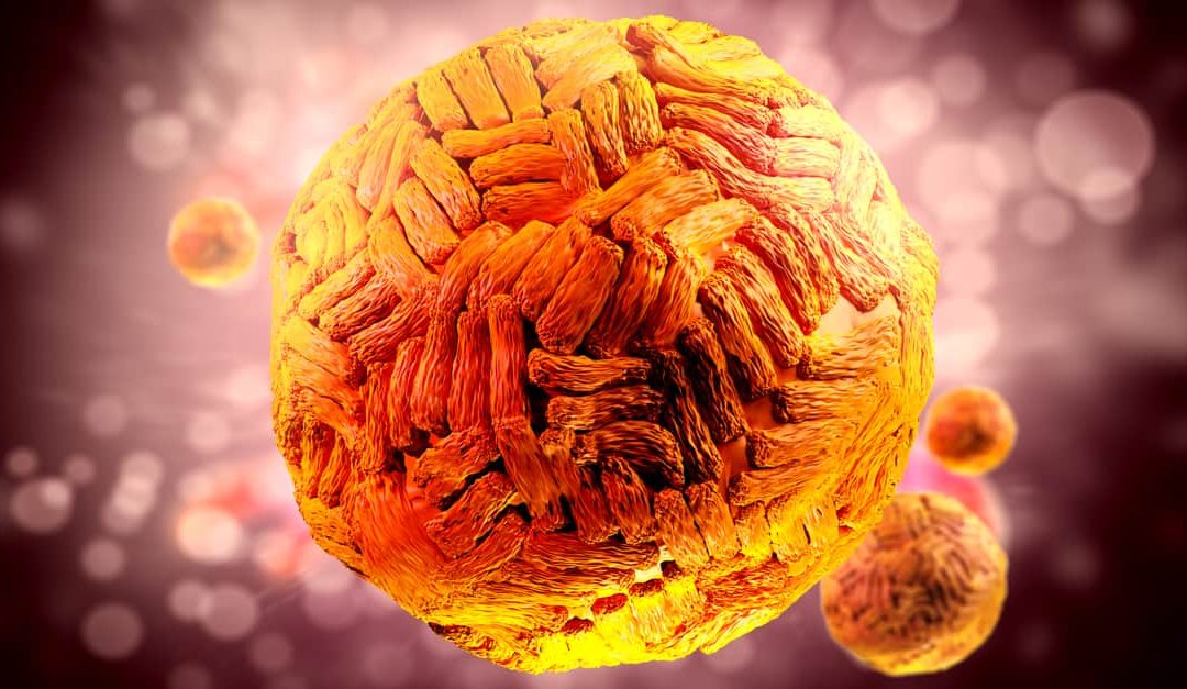 How do viruses reproduce? - SCALAR LIGHT