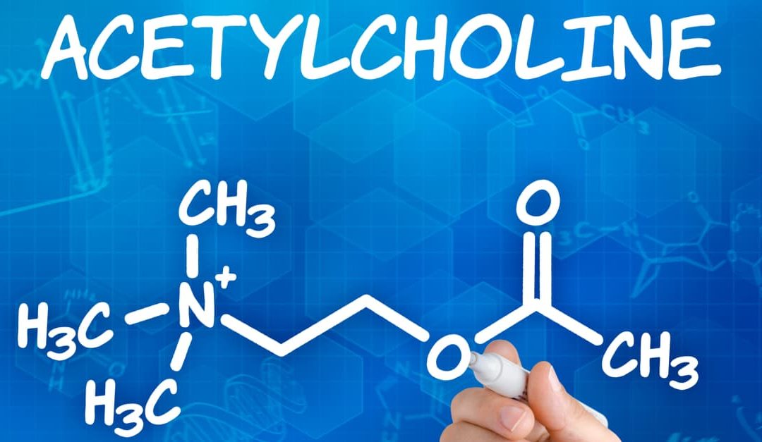 What Is Acetylcholine And What Does It Do? - SCALAR LIGHT