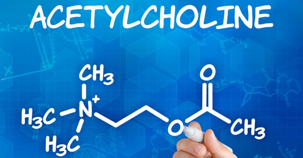 What Is Acetylcholine And What Does It Do? - SCALAR LIGHT