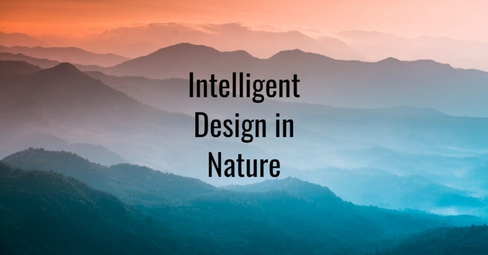 Intelligent Design in Nature - Where We Find It - SCALAR LIGHT