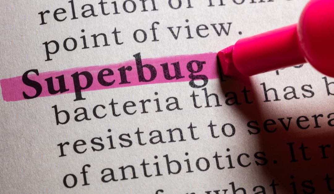 Understanding Super-bugs | SCALAR LIGHT | Diseases